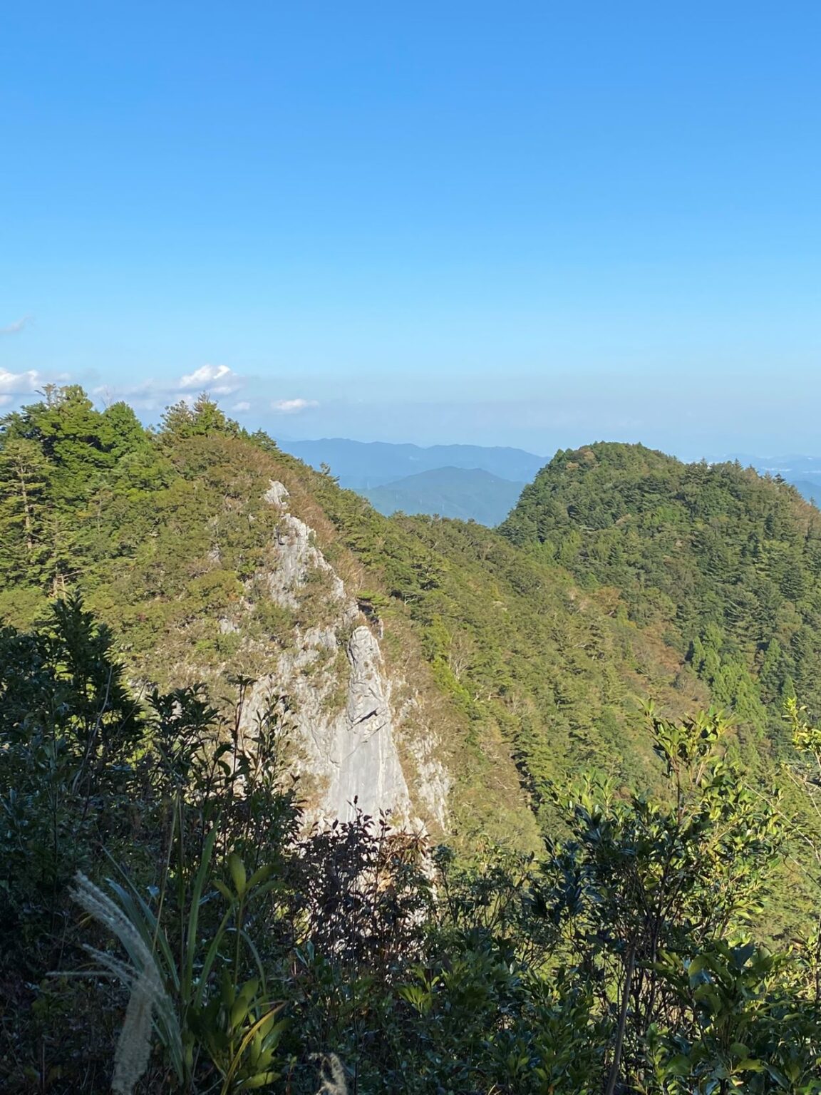 朝ドラ『らんまん』の越知町横倉山に行ってみた！大自然と歴史に触れる大満足のトレッキングツアーの紹介 | しまんトロッコガイド☆地元のおばちゃんブログ